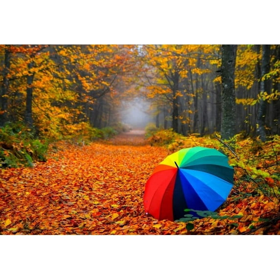Autumn Forest Scenic Sunlight Pathway Portrait Photo Zone Photographic ...