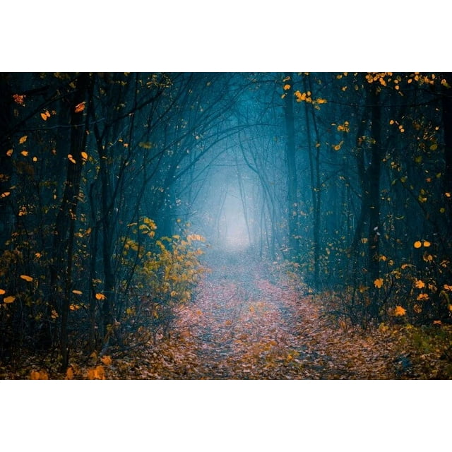 Autumn Forest Scenic Sunlight Pathway Portrait Photo Zone Photographic ...
