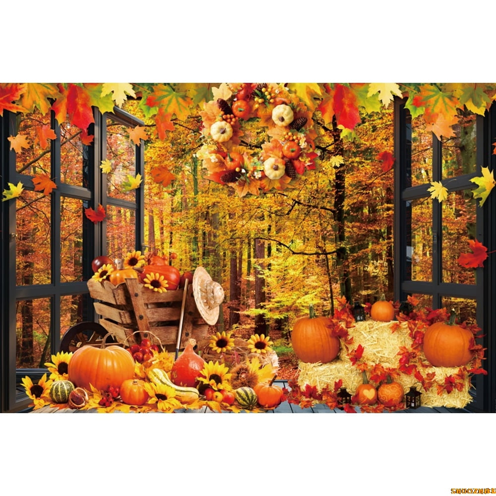 Autumn Forest Series Kids Photography Backgrounds Hallowe Fall Leaves ...
