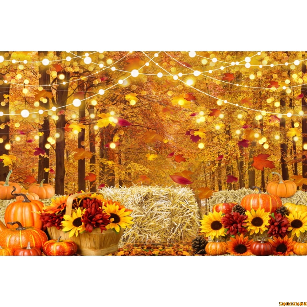 Autumn Forest Series Kids Photography Backgrounds Hallowe Fall Leaves ...