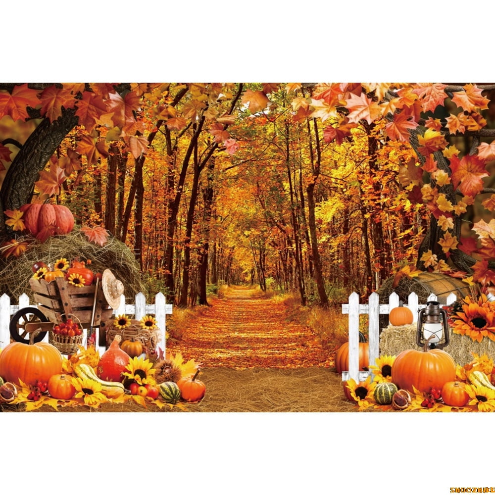 Autumn Forest Series Kids Photography Backgrounds Hallowe Fall Leaves ...