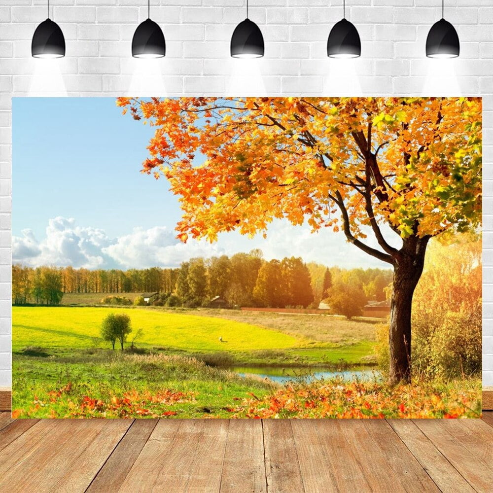 Autumn Forest Tree Field Wedding Photographic Background Natural ...