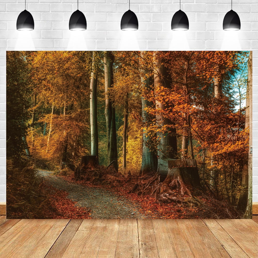 Autumn Forest Tree Leaves Photography Backdrop Nature Scenery Newborn ...