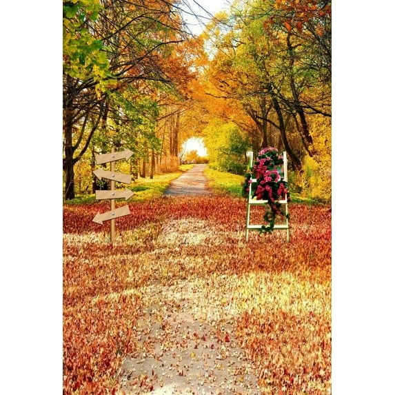 Autumn Forest Tree Yellow Maples Fallen Leaves Way Road Natural Scenic ...