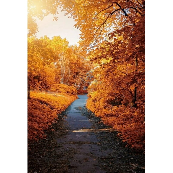 Autumn Forest Tree Yellow Maples Fallen Leaves Way Road Natural Scenic ...