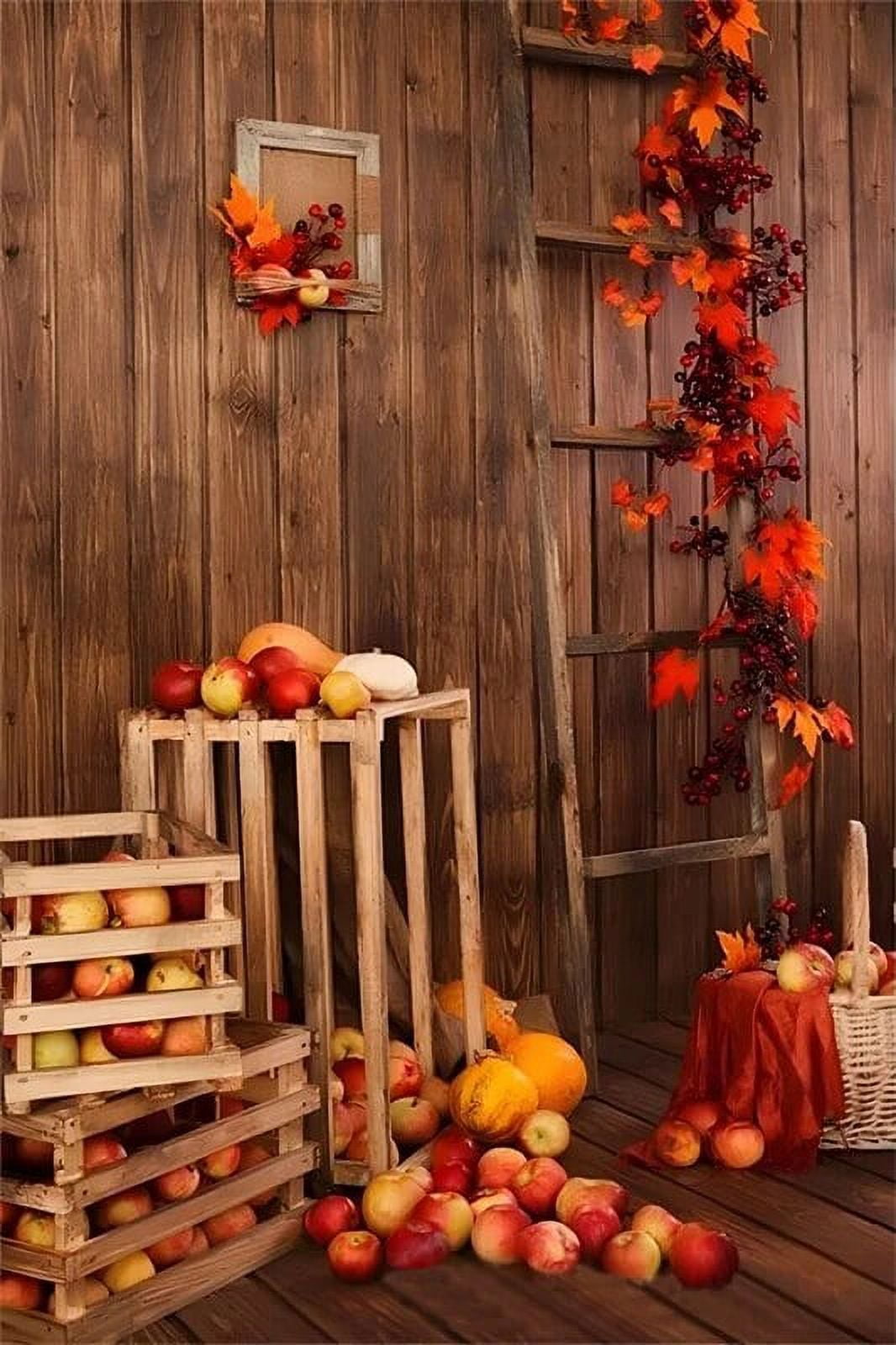 Autumn Forest Tree Yellow Maples Fallen Leaves Way Road Natural Scenic ...