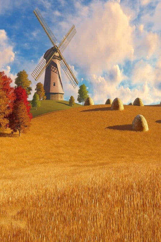 Autumn Forest Tree Yellow Maples Fallen Leaves Way Road Natural Scenic Photography Background ...