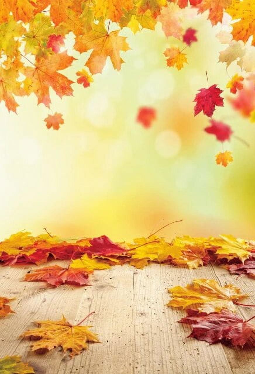 Autumn Forest Tree Yellow Maples Fallen Leaves Way Road Natural Scenic Photography Background ...