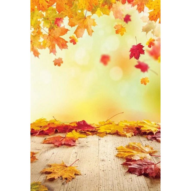 Autumn Forest Tree Yellow Maples Fallen Leaves Way Road Natural Scenic ...