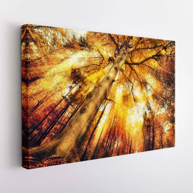 Autumn Forest Under The Afternoon Sun Wall Art Home Decor Vintage Gift ...
