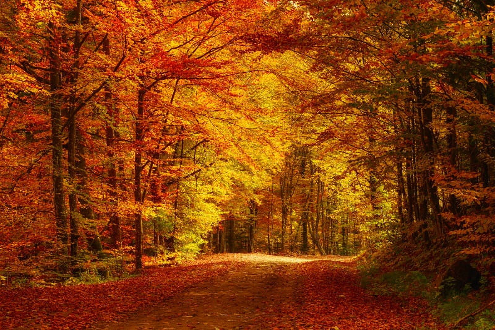 Autumn Germany Countryside Photography Backdrop Peak Bavaria Alps ...