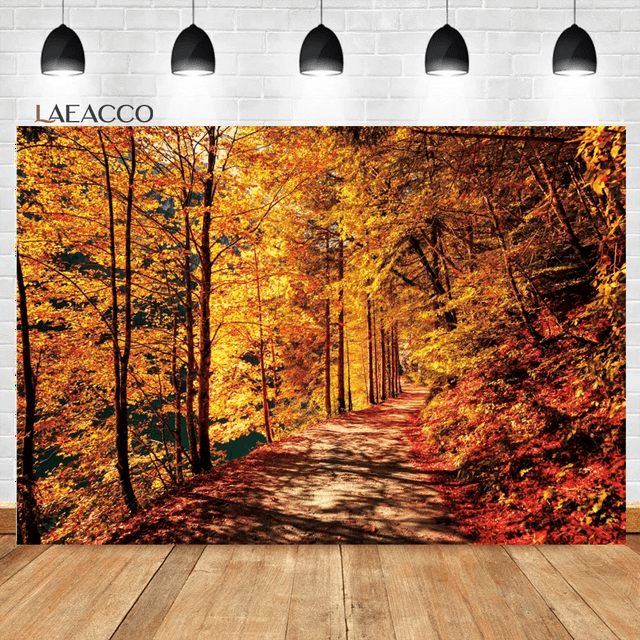 Autumn Golden Leaves Outdoor Park Trail Real Scene Photocall ...
