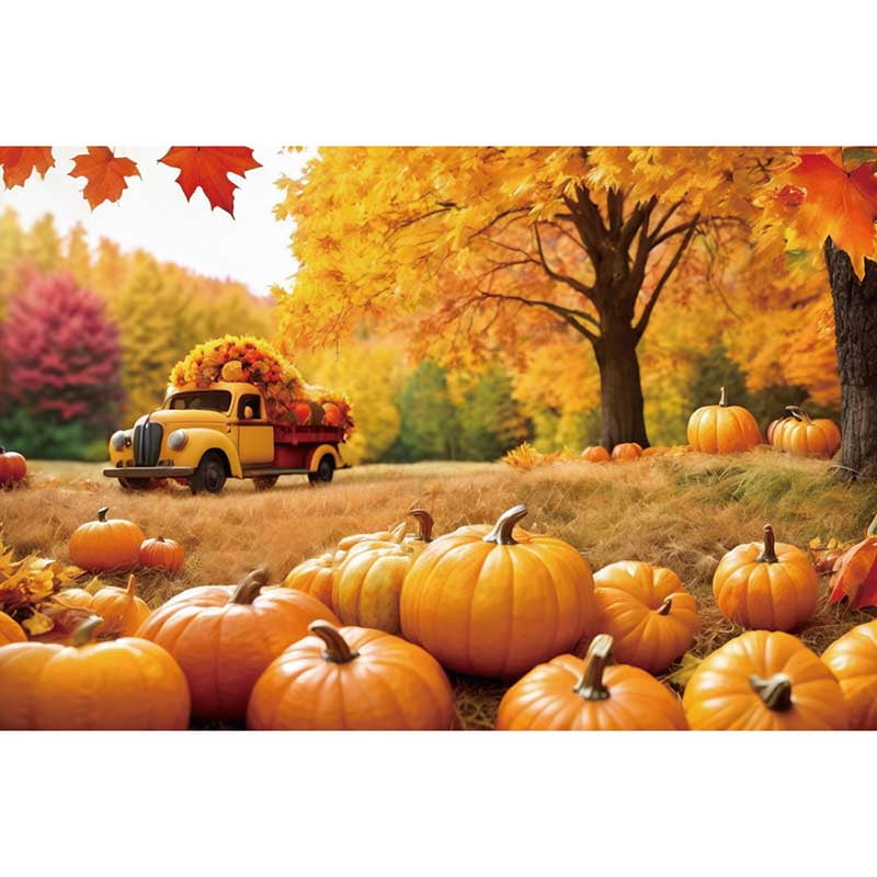 Autumn Harvest Photo Studio Background02 Thanksgiving Photography ...