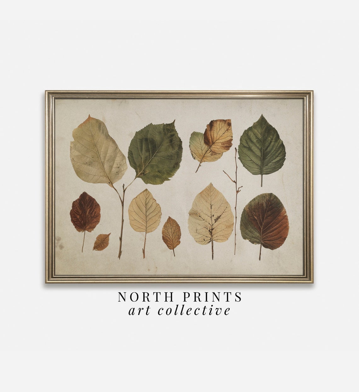 Autumn Leaves Botanical Rustic Cabin A-28 Wall Art Print, Eye Catching ...