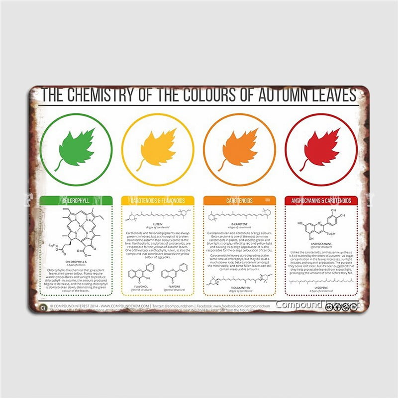 Autumn Leaves Chemistry Poster Metal Plaque Club Home Painting Décor ...