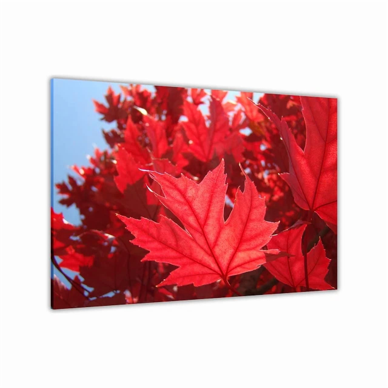 Autumn Leaves Red Wall Art Picture Print Art Home Decor Vintage Gift ...