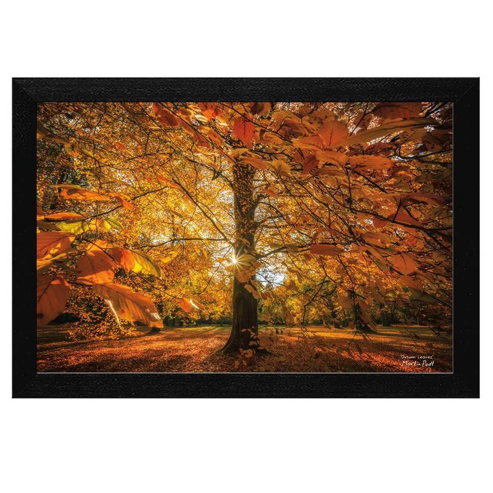 Autumn Leaves by Martin Podt Printed Framed Wall Art Wood Multi-Color ...