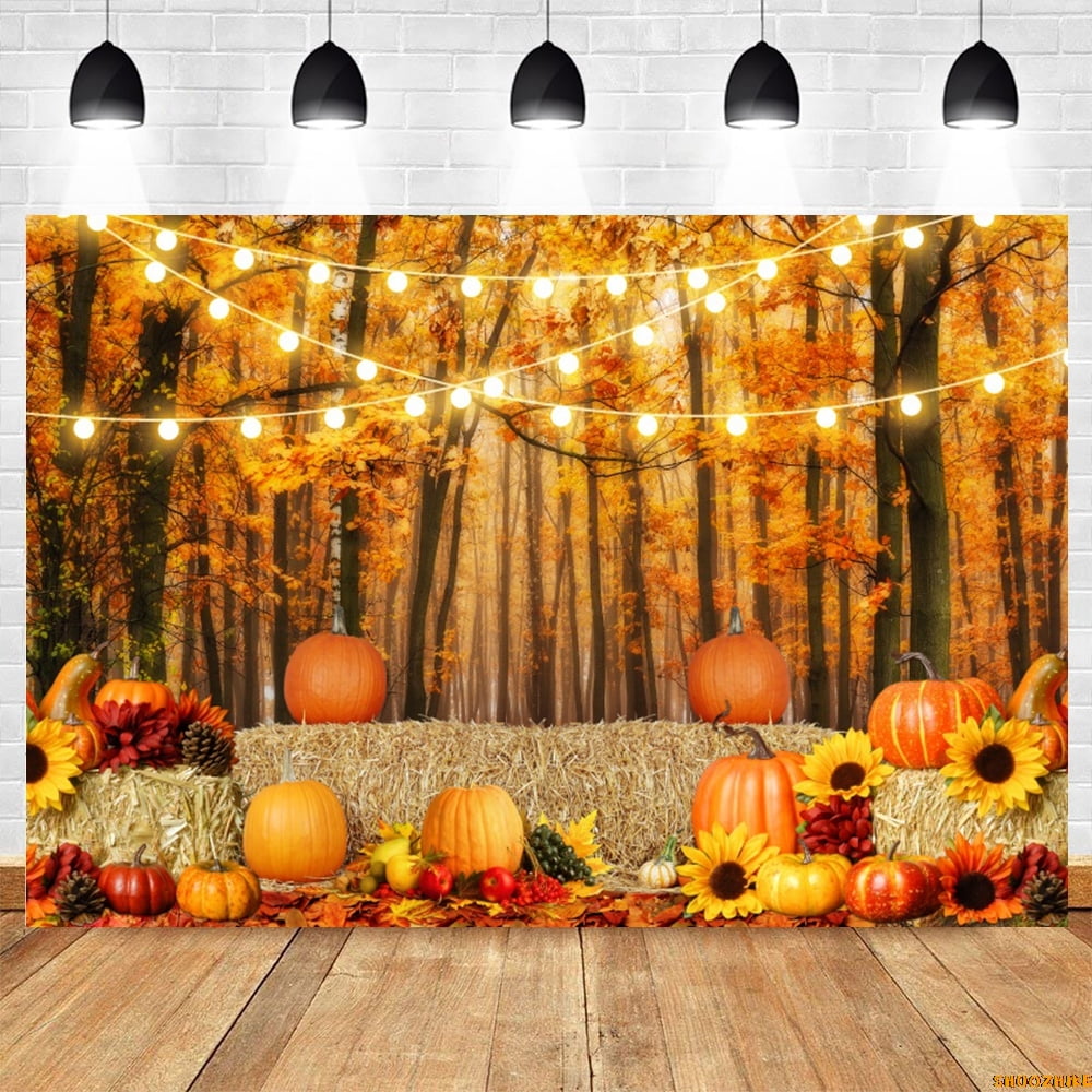 Autumn Maple Forest Pumpkin Backdrop Haystack Fall Field Window Baby ...