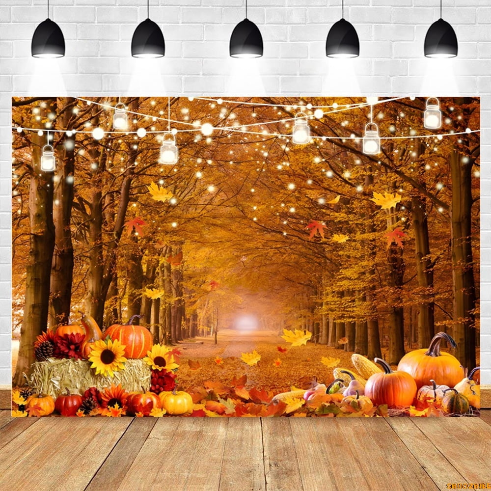 Autumn Maple Forest Pumpkin Backdrop Haystack Fall Field Window Baby ...