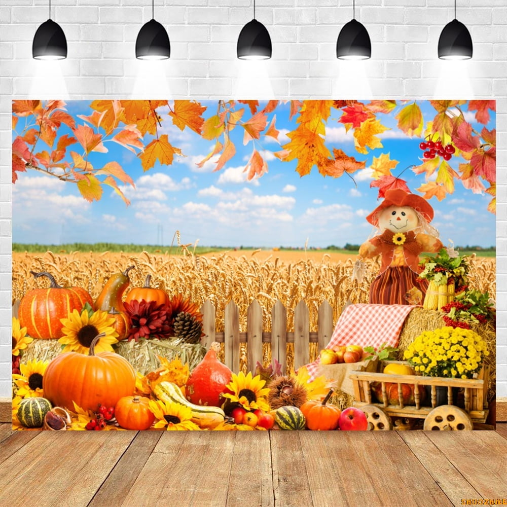 Autumn Maple Forest Pumpkin Backdrop Haystack Fall Field Window Baby ...