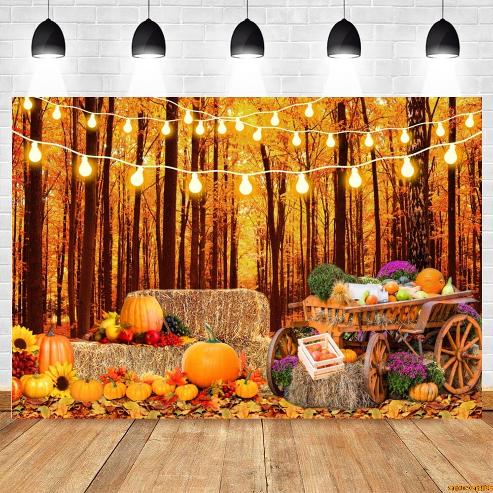 Autumn Maple Forest Pumpkin Backdrop Haystack Fall Field Window Baby ...