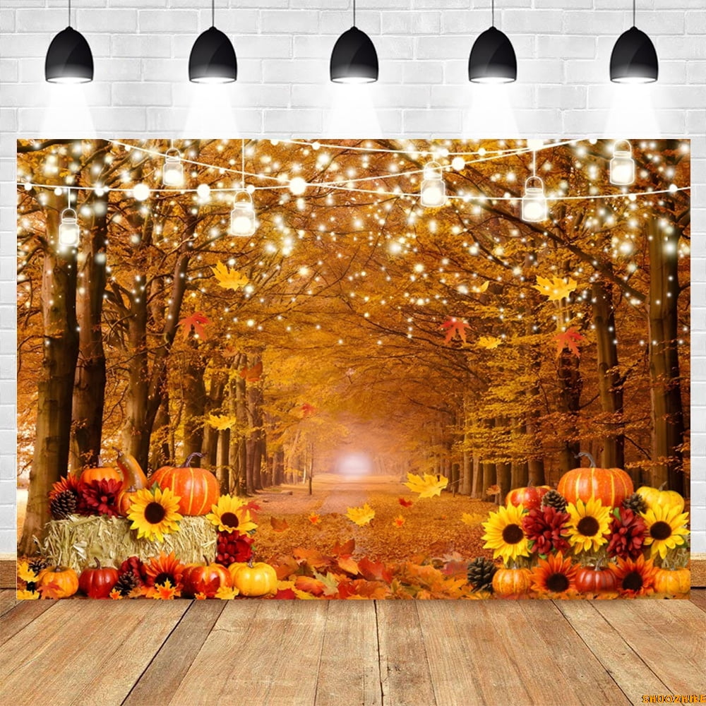 Autumn Maple Forest Pumpkin Backdrop Haystack Fall Field Window Baby ...