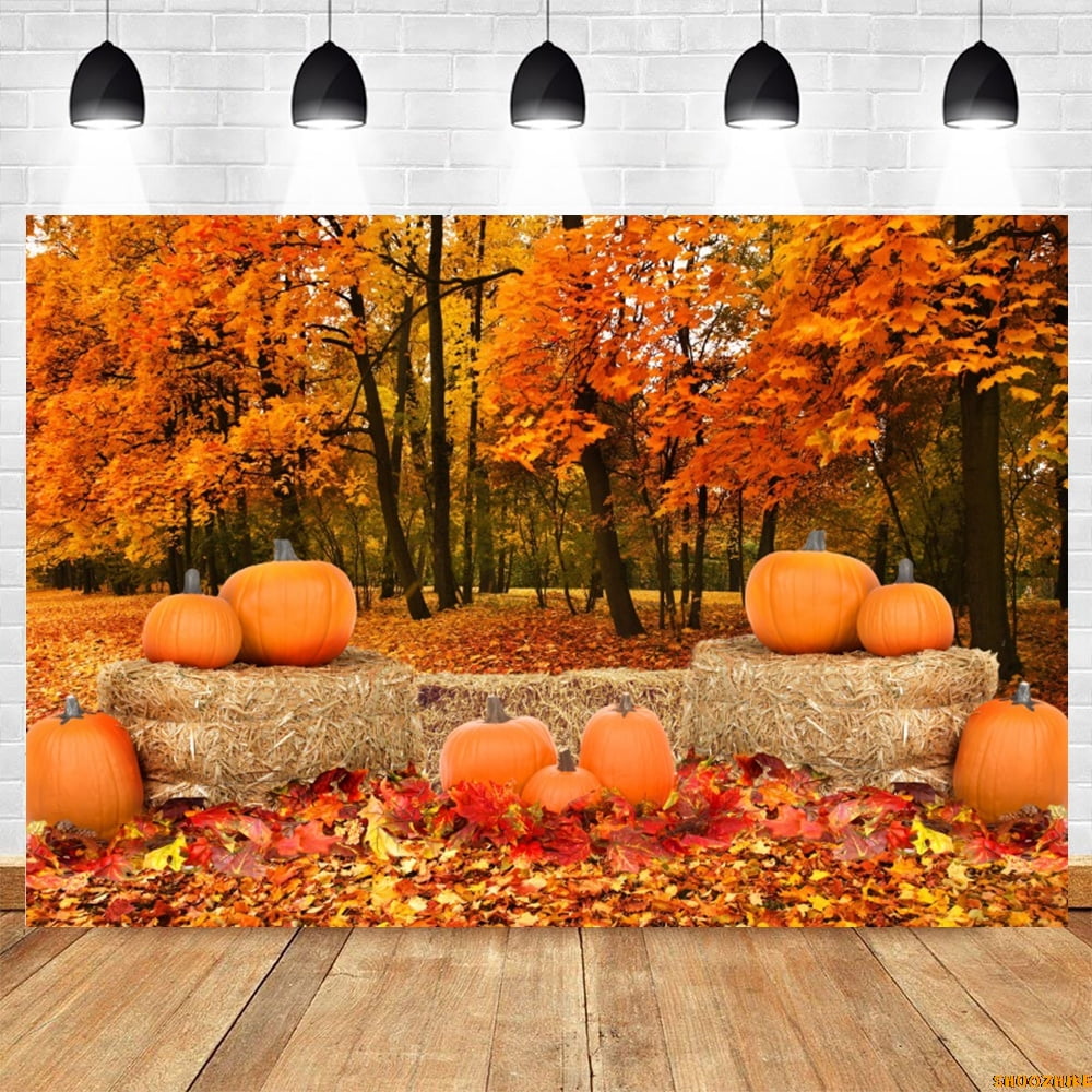 Autumn Maple Forest Pumpkin Backdrop Haystack Fall Field Window Baby ...