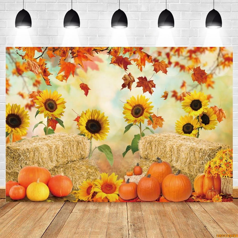Autumn Maple Forest Pumpkin Backdrop Haystack Fall Field Window Baby ...