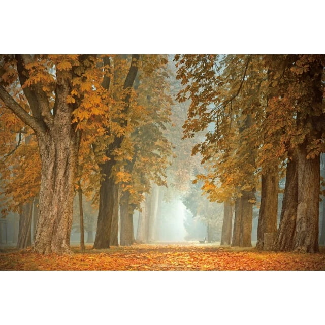 Autumn Maple Forest Scene Photography Backdrop Yellow Leave Natural ...