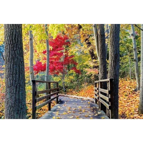 Autumn Maple Forest Scene Photography Backdrop Yellow Leave Natural ...