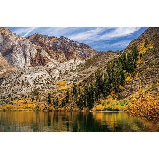 Autumn Maple Forest Scene Photography Backdrop Yellow Leave Natural ...
