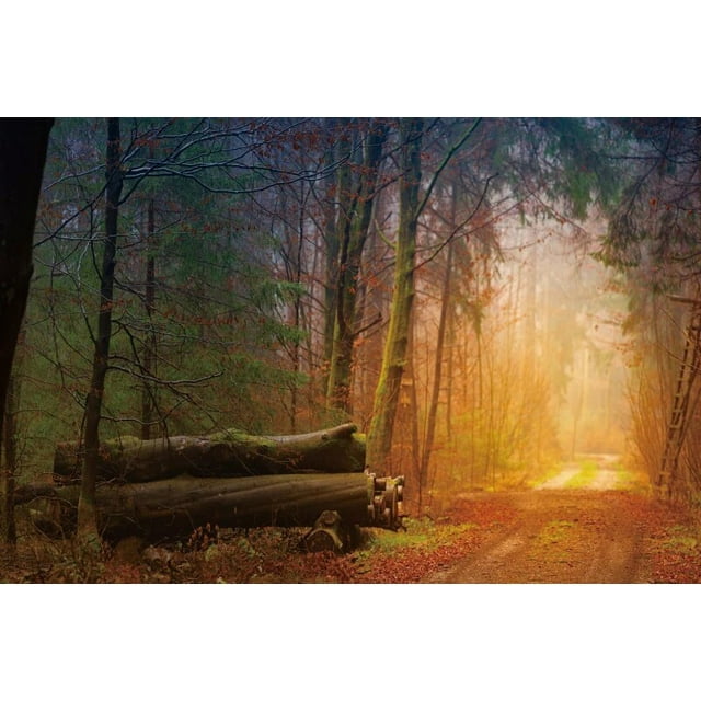 Autumn Maple Forest Scene Photography Backdrop Yellow Leave Natural ...