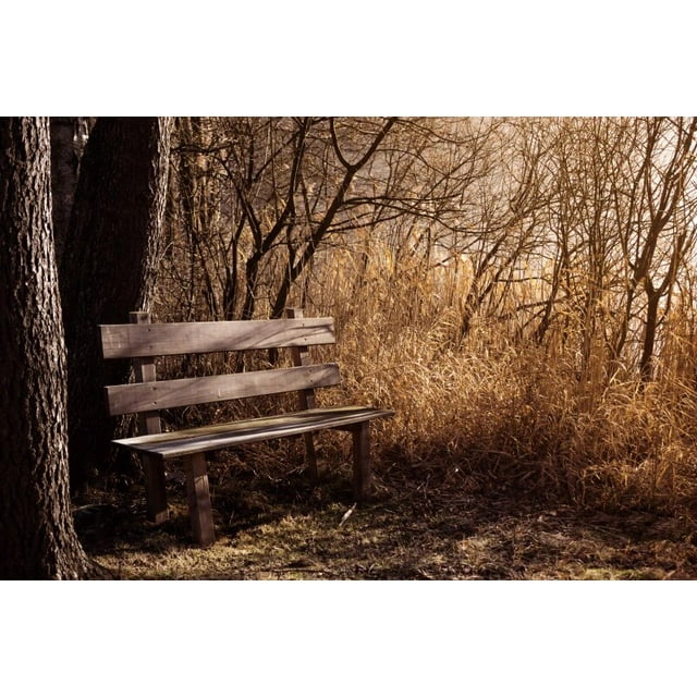 Autumn Maple Forest Scene Photography Backdrop Yellow Leave Natural ...