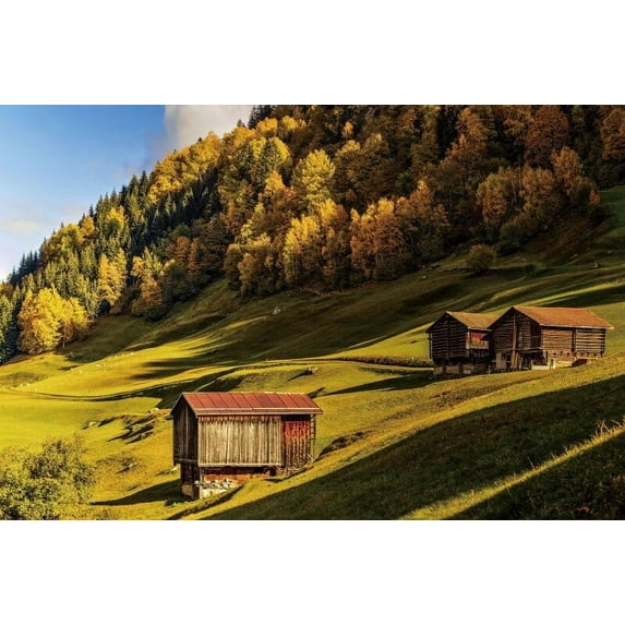 Autumn Maple Forest Scene Photography Backdrop Yellow Leave Natural ...