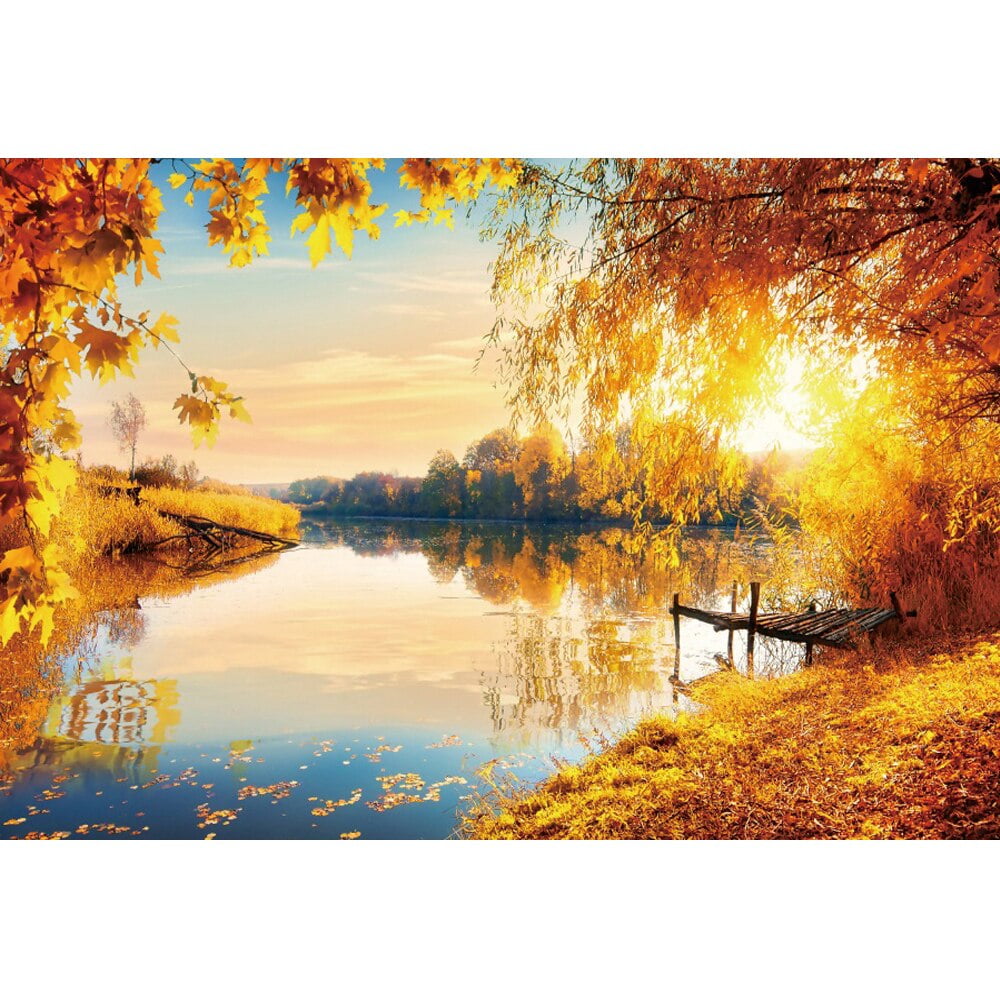 Autumn Maple Forest Tree Photography Backdrop Fall Natural Scenery ...