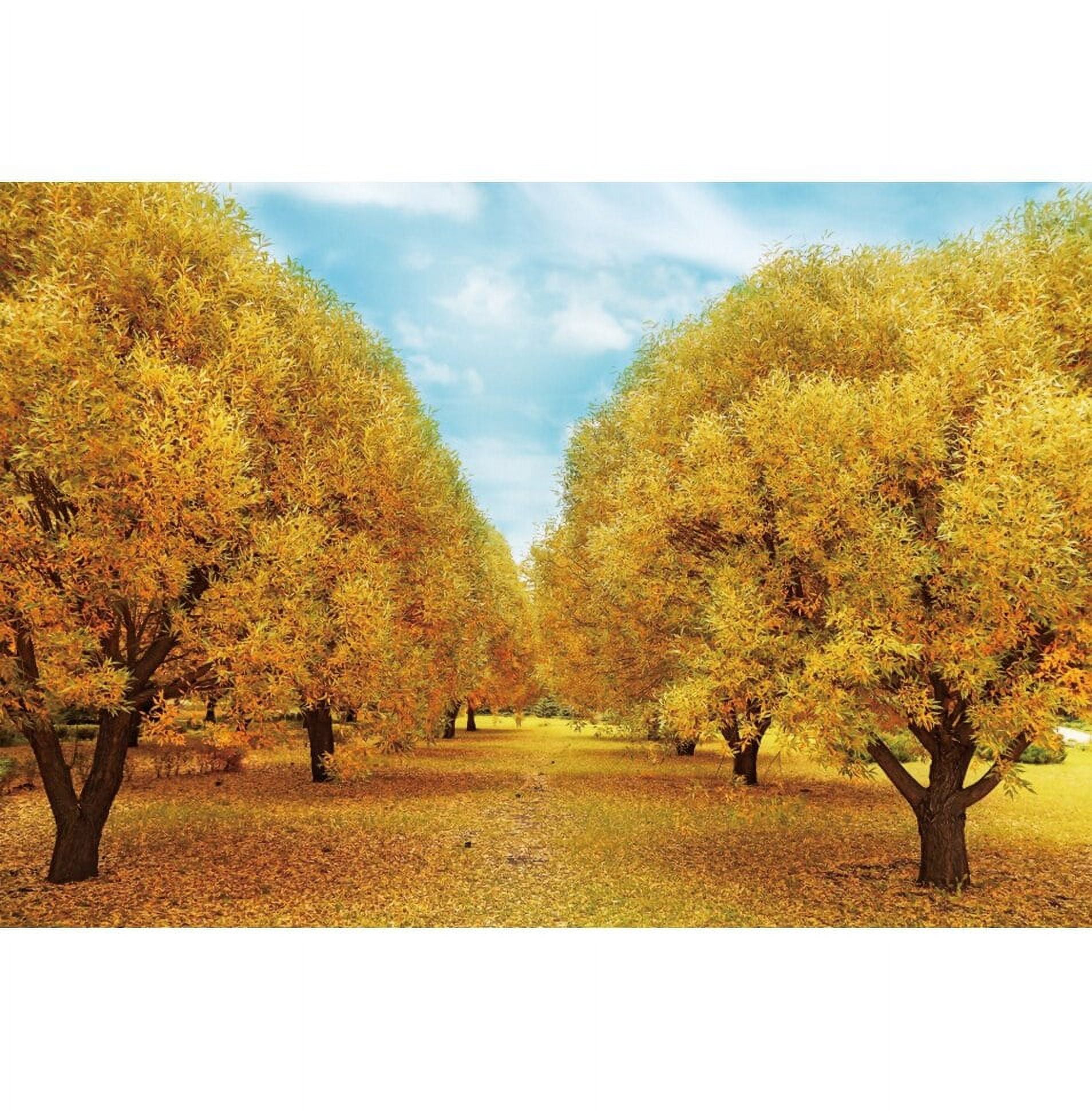 Autumn Maple Forest Tree Photography Backdrop Fall Natural Scenery ...