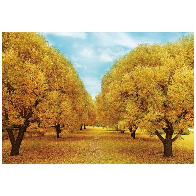 Autumn Maple Forest Tree Photography Backdrop Fall Natural Scenery ...