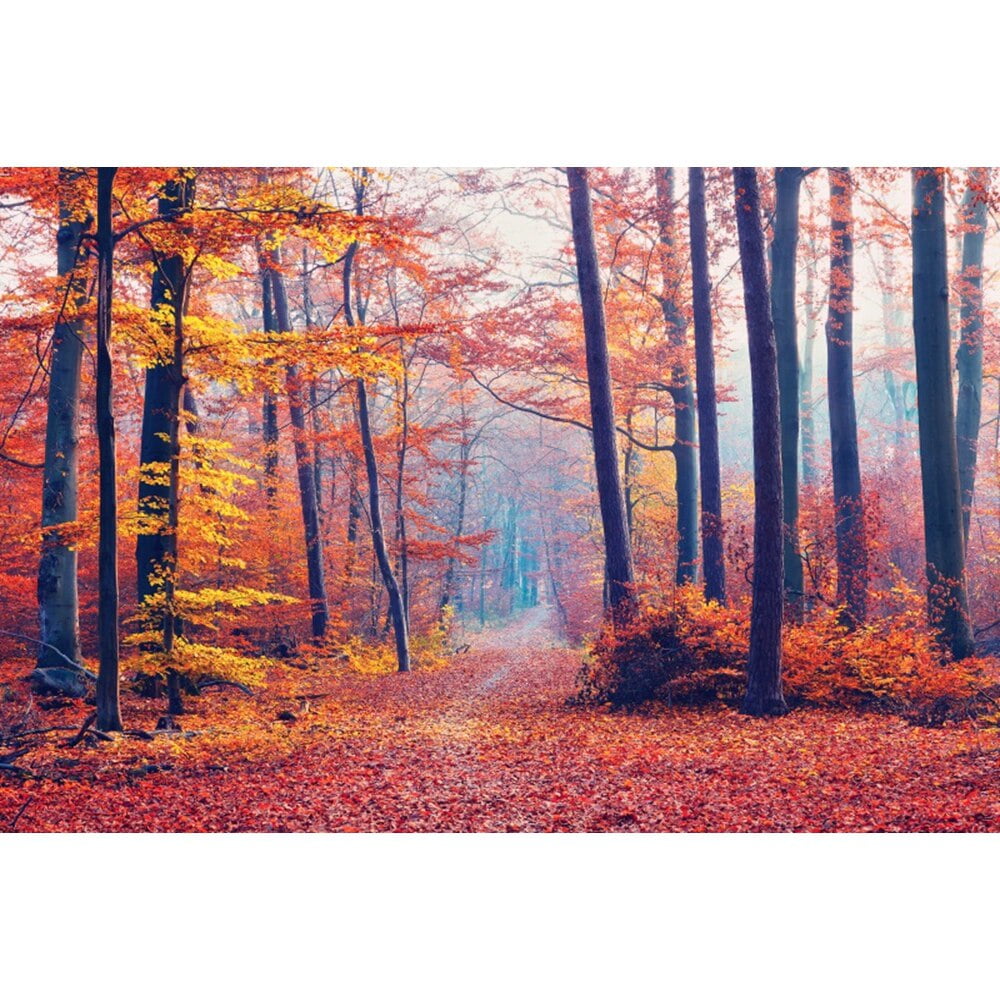 Autumn Maple Forest Tree Photography Backdrop Fall Natural Scenery ...