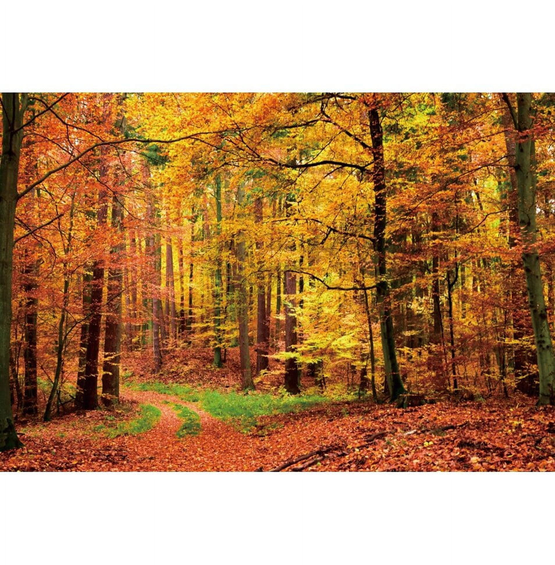 Autumn Maple Forest Tree Photography Backdrop Fall Natural Scenery Falling Leaves Window River ...