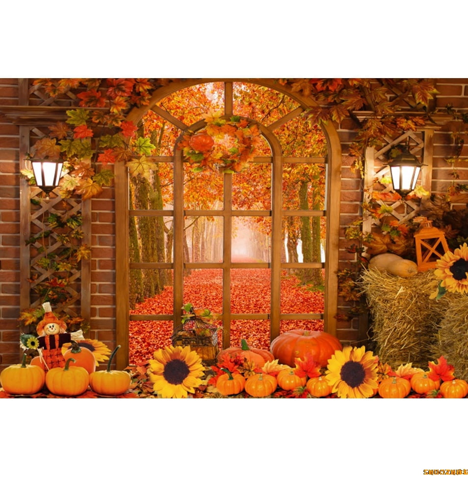 Autumn Maple Leaves Forest Window Backdrop Pumpkins Sunflower Baby ...