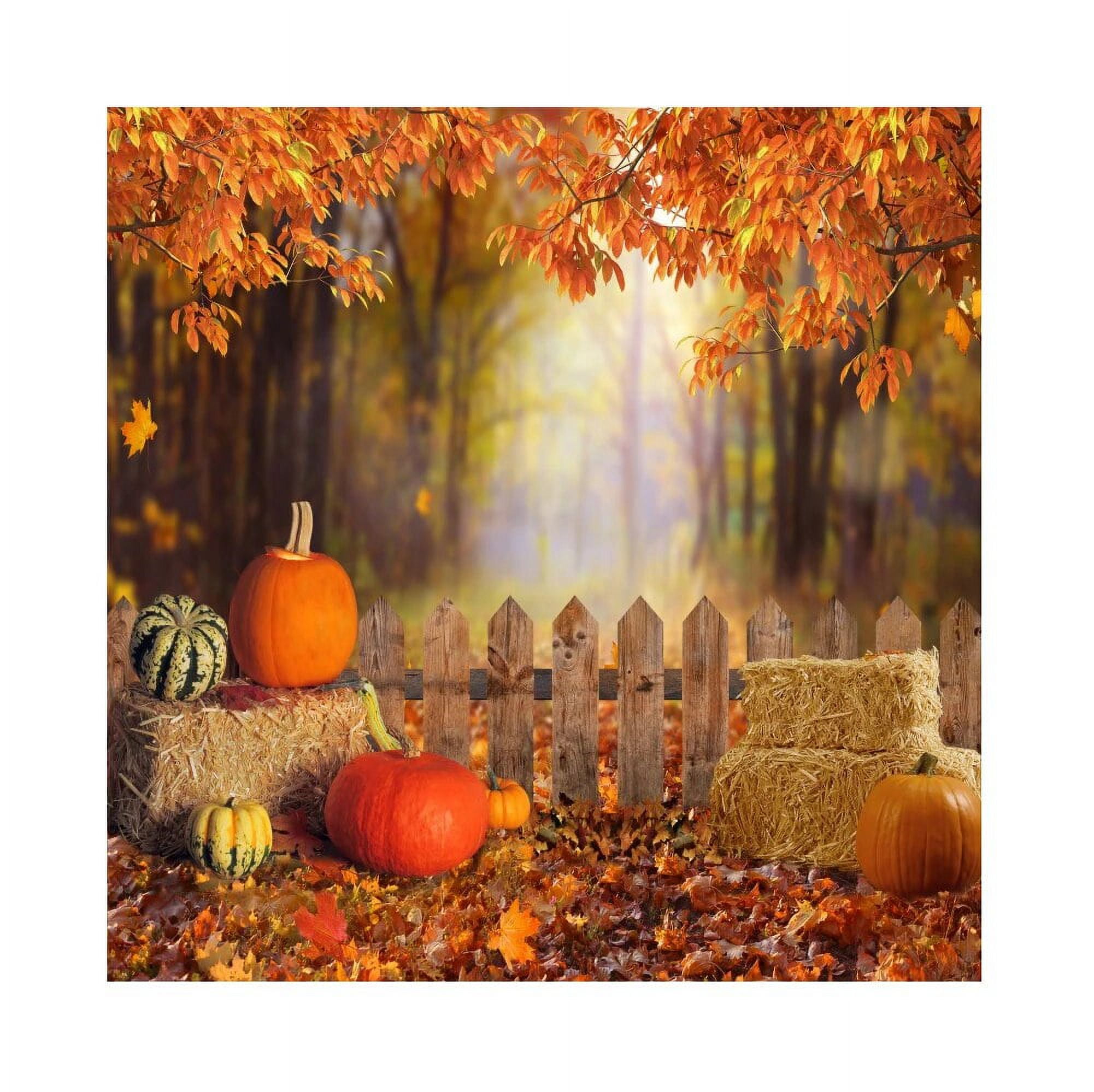 Autumn Maple Leaves Haystack Background Halloween Backdrop Pumpkins ...