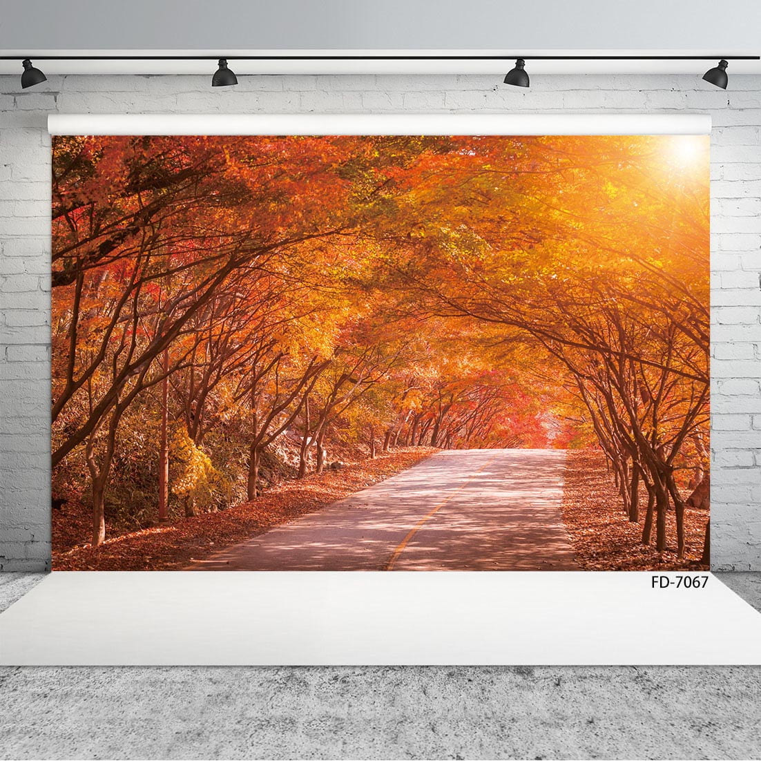 Autumn Maple Trees Road Photographic Backdrops Photobooth Backgrounds ...