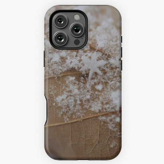 Autumn Meets Winter Seasonal Nature Scene iPhone Case 17 to 11 Pro Max ...