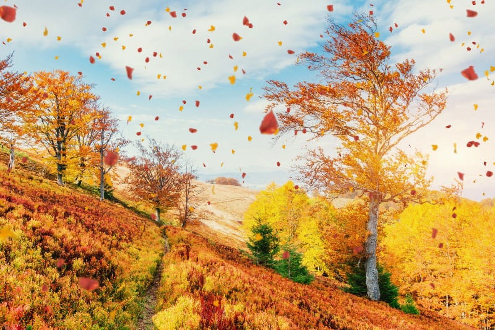 Autumn Mountain Scenery Backdrop Wilderness Hiking Green Tree Grass ...