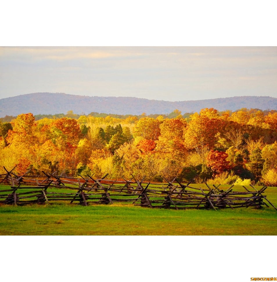 Autumn Natural Scery Photography Backdrop Forest Plain Landscape ...