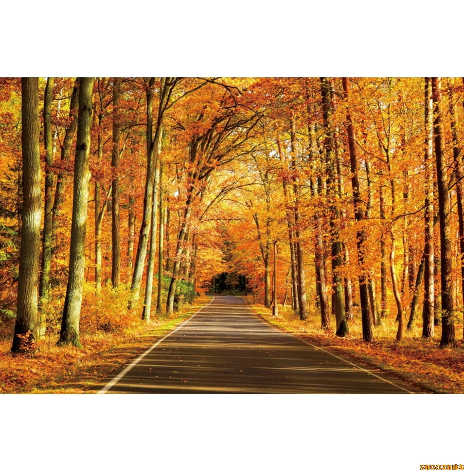 Autumn Natural Scery Photography Backdrop Forest Plain Landscape ...