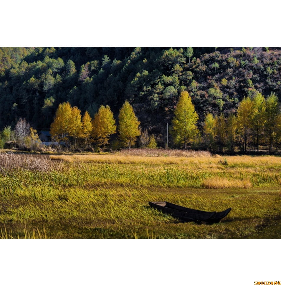 Autumn Natural Scery Photography Backdrop Forest Plain Landscape ...