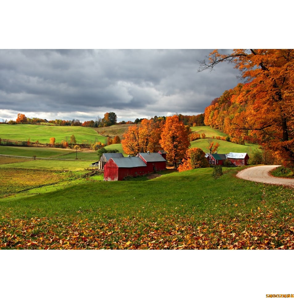 Autumn Natural Scery Photography Backdrop Forest Plain Landscape ...
