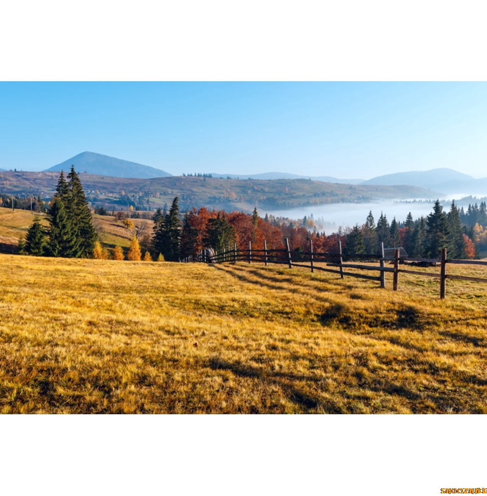 Autumn Natural Scery Photography Backdrop Forest Plain Landscape ...