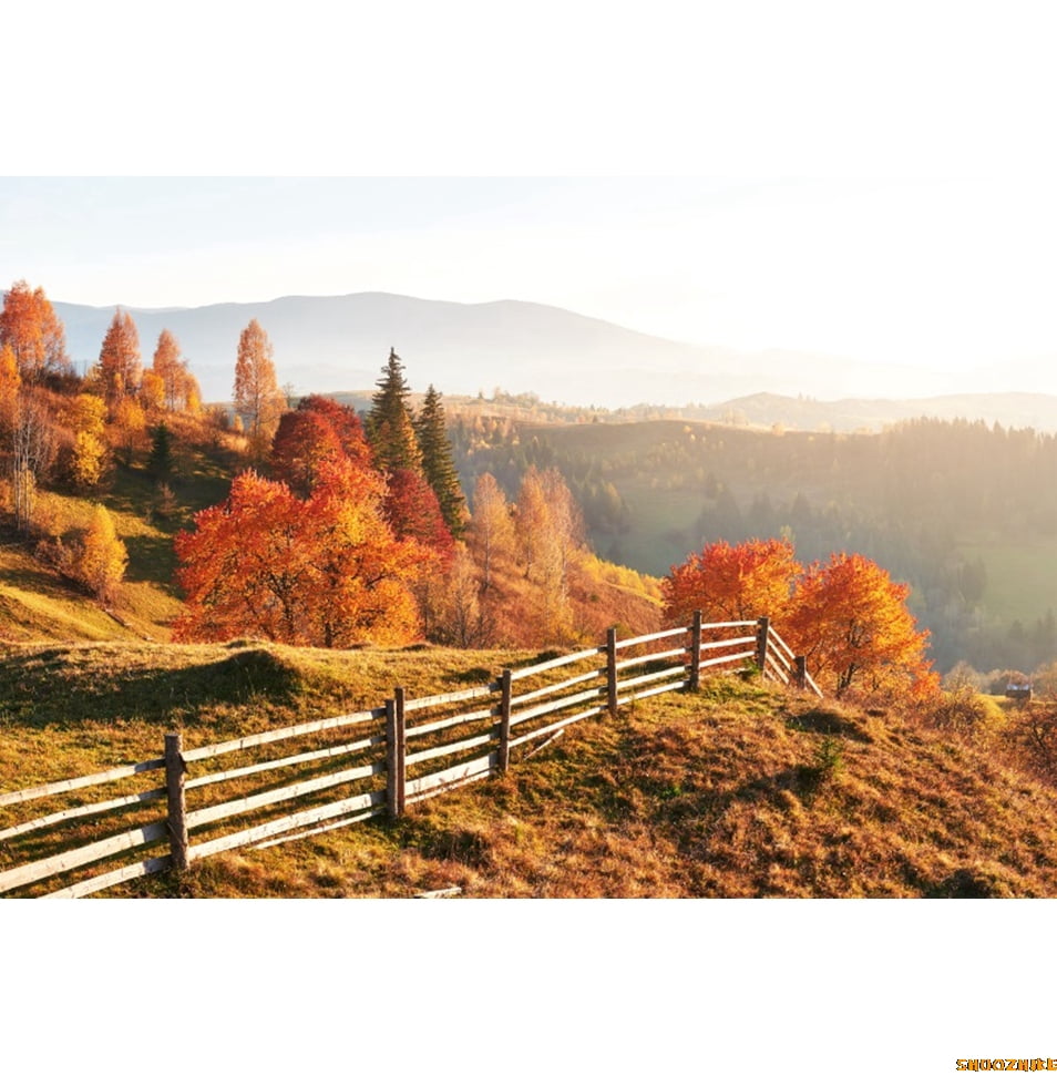 Autumn Natural Scery Photography Backdrop Forest Plain Landscape ...